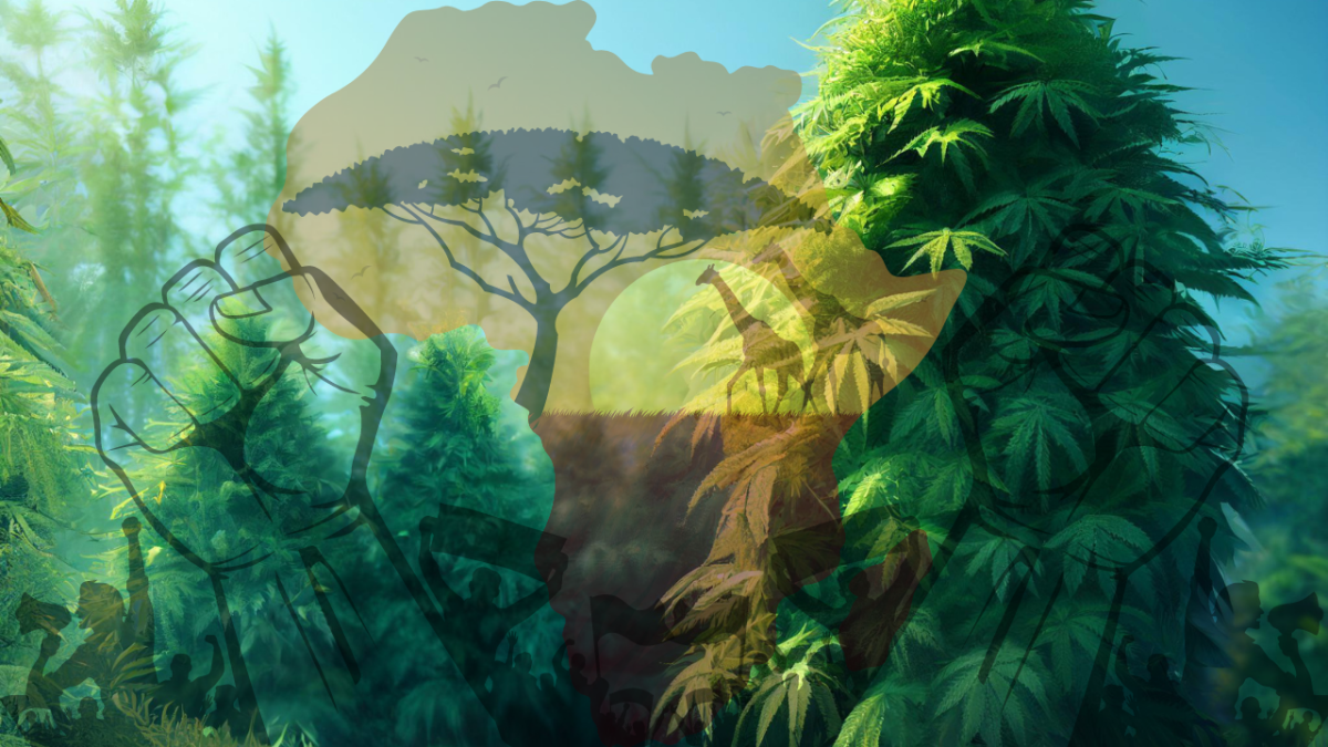 From Ancient to Modern Times, Exploring the History of Cannabis in ...